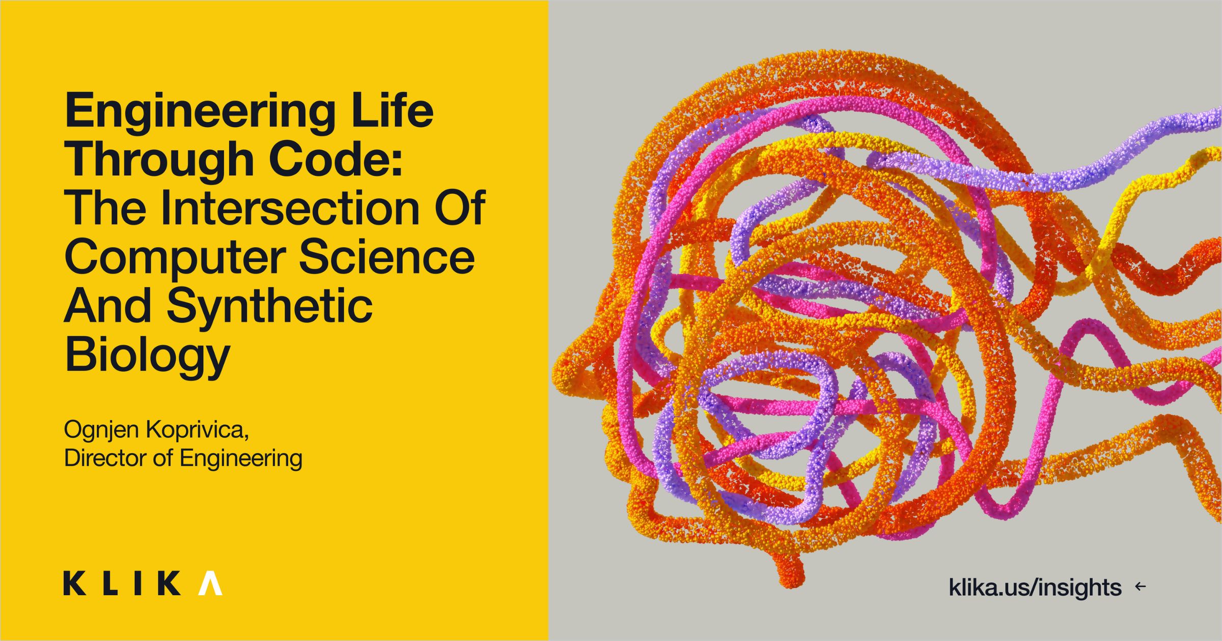 Engineering Life Trough Code